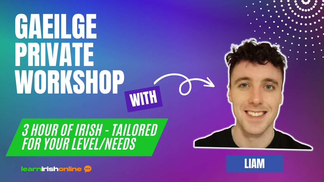 Private Gaeilge Workshop (3 Hours)
